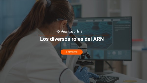 Los Diversos Roles del ARN