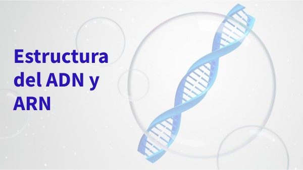Estructura del ADN y ARN | Genially