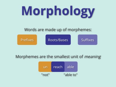 PL7L4 Morphology | Genially