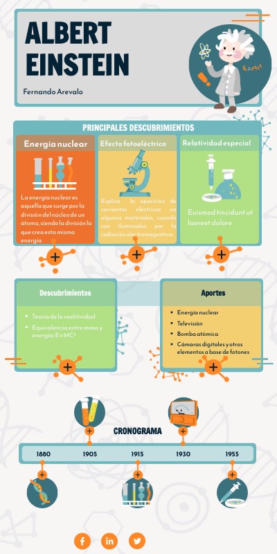 Einstein Infographic