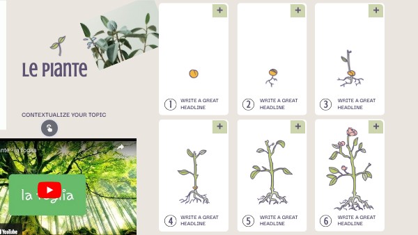 Fasi di crescita delle piante | Genially