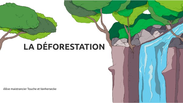 Présentation la déforestation | Genially