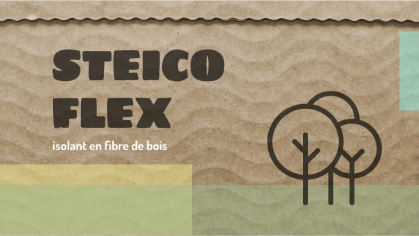 STEICO flex | Genially