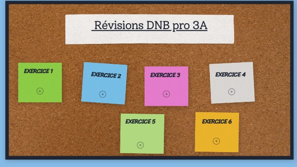 Révisions DNB pro 3A