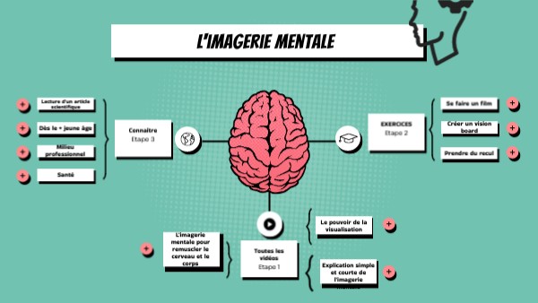 Carte mentale cerveau
