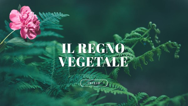 IL REGNO VEGETALE