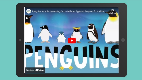 Penguins for sharing research Kinder