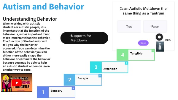 Autism and Behavior