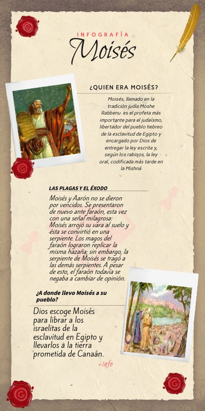 Mi infgrafia frander