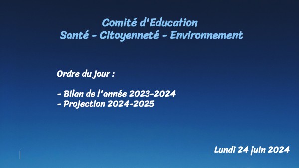 BILAN CESCE - 2023-2024