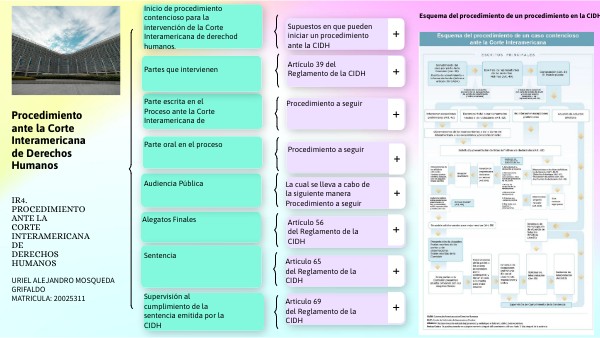 R4. Procedimiento ante la Corte Interamericana de Derechos Humanos