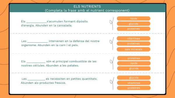 Els nutrients