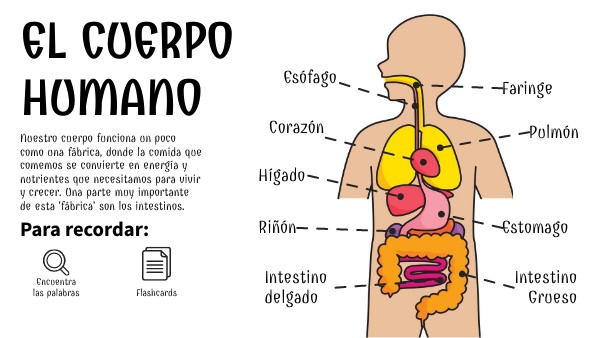 EL CUERPO HUMANO | Genially