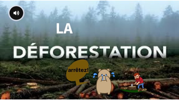déforestation | Genially