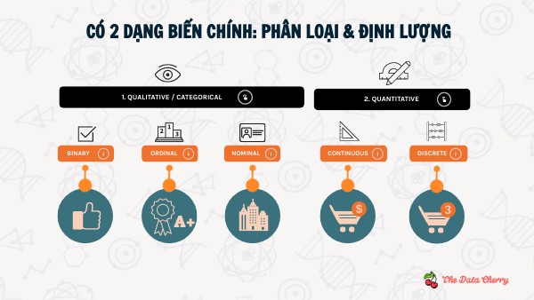 Variable Types | Genially