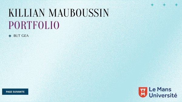 Portfolio Killian Mauboussin