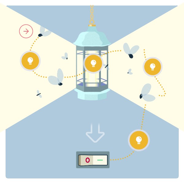 APAGA LA LUZ | Genially