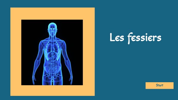 Les muscles du fessier