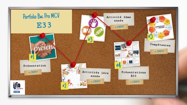 Portfolio Bac Pro MCV