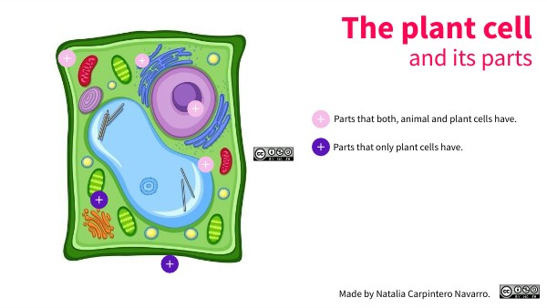 Interactive plant cell