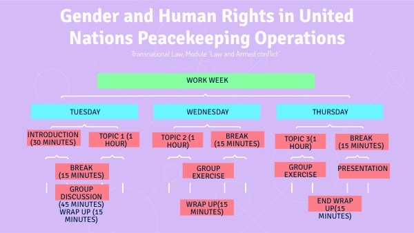 Gender and Human Rights in UN Peacekeeping Operations