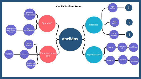 Mapa conceptual anelidos | Genially