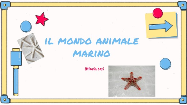 IL MONDO ANIMALE MARINO