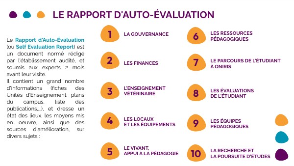 AEEEV : Rapport d'Auto-Evaluation | Genially