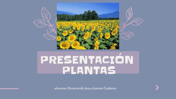 Presentación Plantas