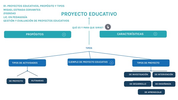 R1. Los proyectos educativos, propósito y tipos
