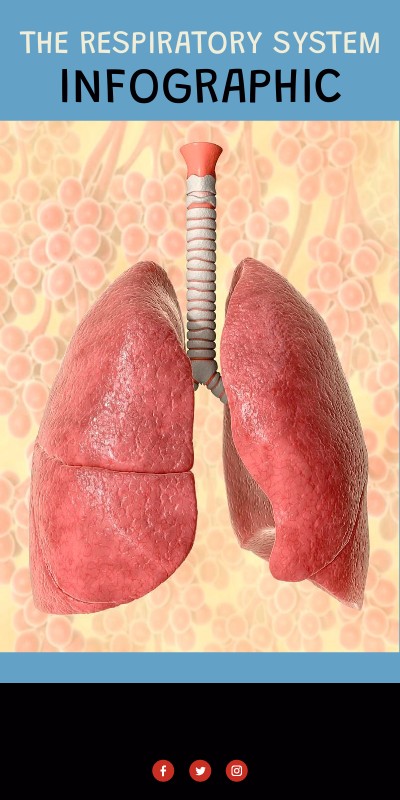 Respiratory