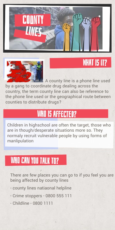 Human Rights Infographic | Genially