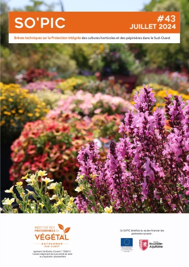 SO'PIC 43 juillet 2024 | Genially