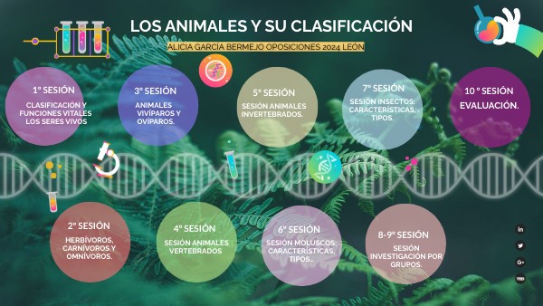 LOS ANIMALES Y SU CLASIFICACIÓN | Genially