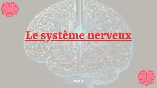 Système nerveux 3eme | Genially