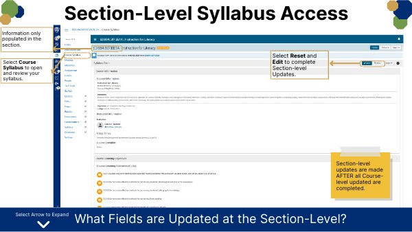Section-Level Syllabus Access