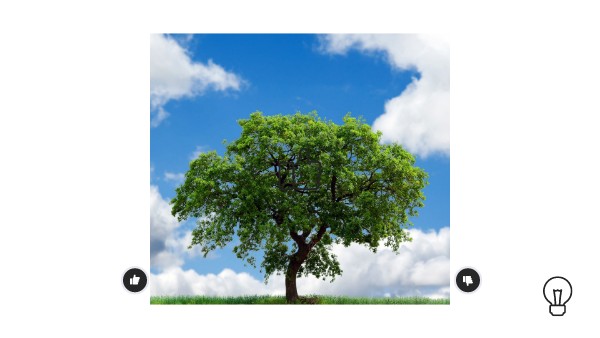 Test Pauline W | Genially