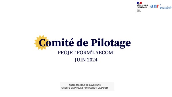 P8- PRESENTATION Comité de Pilotage | Genially
