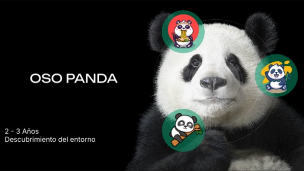 Infografía Oso Panda
