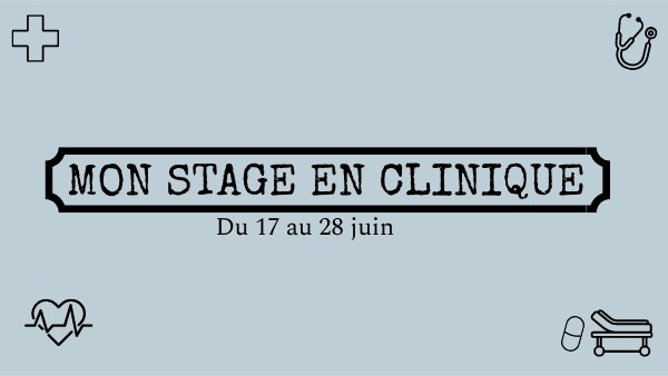 Mon stage en clinique | Genially