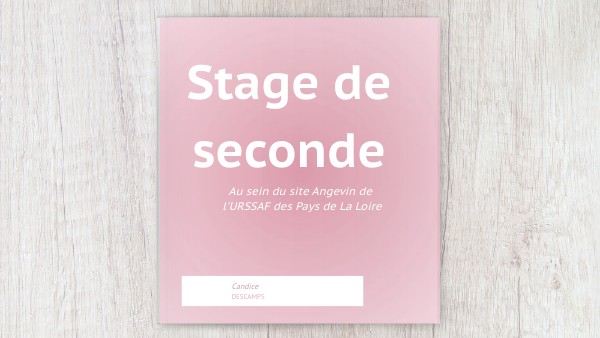 Rapport de stage | Genially