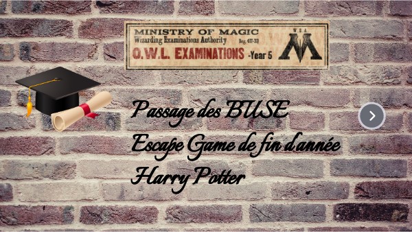 Passage de Buse | Genially