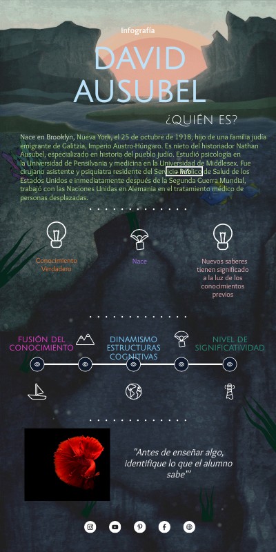 Infografía David Ausubel | Genially