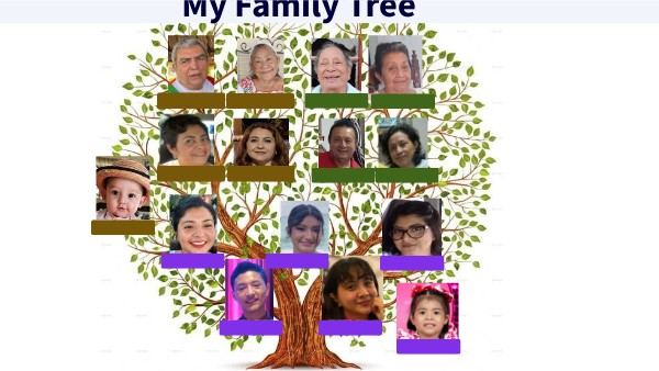 MY FAMILY TREE ITZEL CALDERON