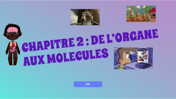 1ère ST2S CHAPITRE 2 : DE L’ORGANE AUX MOLECULESntation essen | Genially