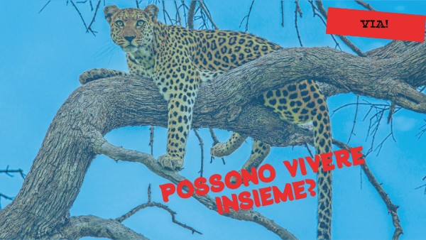 Quiz - Possono vivere insieme? | Genially