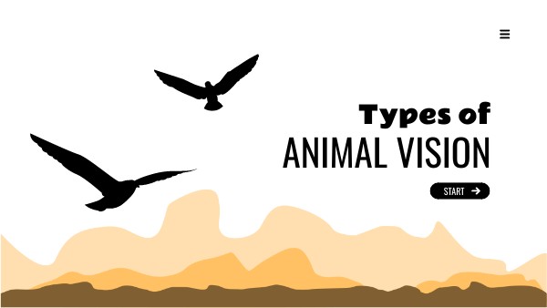 Types of Animal Vision | Genially