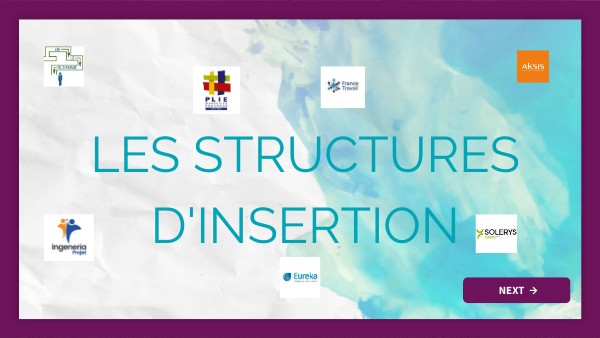 LES STRUCTURES D'INSERTION PROFESSIONNELLE