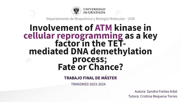 Modificada - TFM Presentació | Genially