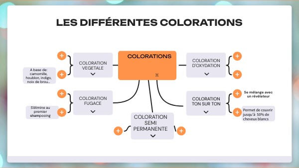 Carte mentale schéma central | Genially